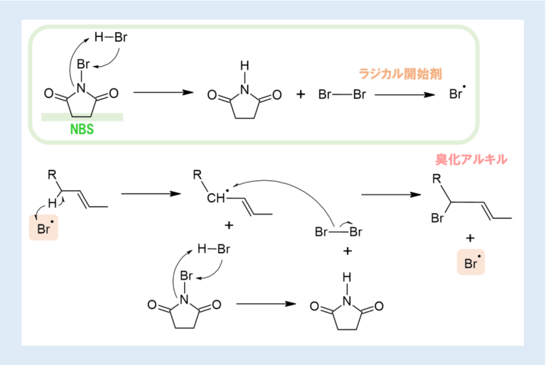 N-ブロモスクシンイミド(NBS)による臭素化（ウォール・チーグラー反応、アルケンの臭素化、アリル位の臭素化）
